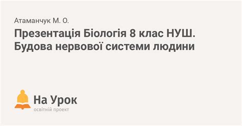 Презентація Біологія 8 клас НУШ Будова нервової системи людини