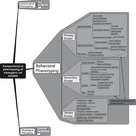 Pdf Neurobehavioral Tests In Rat Models Of Degenerative Brain Diseases