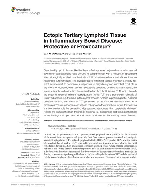 Pdf Ectopic Tertiary Lymphoid Tissue In Inflammatory Bowel Disease Protective Or Provocateur