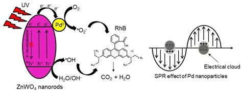 Iranian Journal Of Catalysis