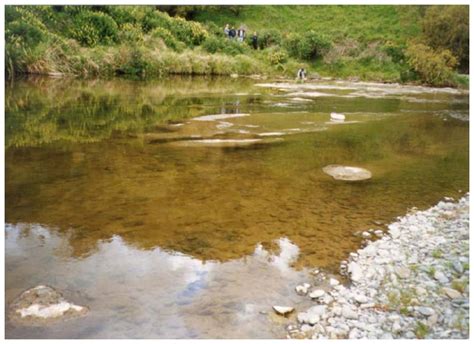 Restoring Flow Niwa