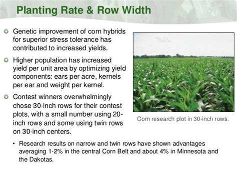 High Yield Corn Production