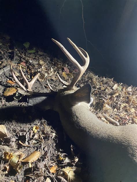 Sarah Herman Mi Buck Pole