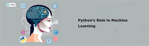 python for ai and ml tranet biologia ufrj br