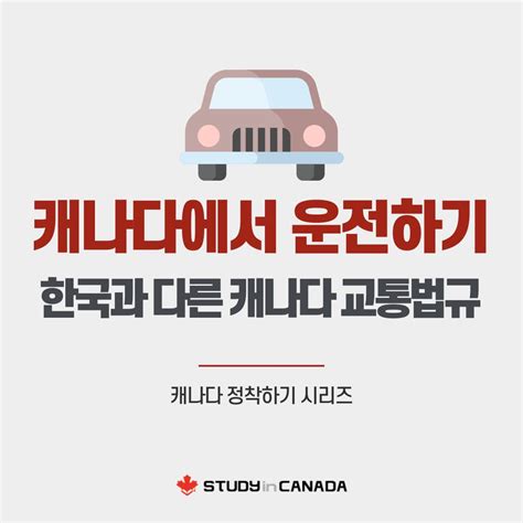 스터디 캐나다 한국에서 운전하시던 분이라면 캐나다에서 운전하는 데에 그리 큰 어려움을 겪지는 않으실