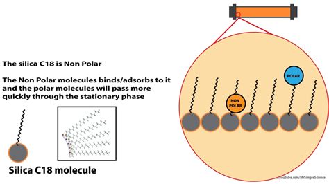 What Is The Difference Between Reverse Phase And Normal Phase Chromatography At Josh Hayes Blog