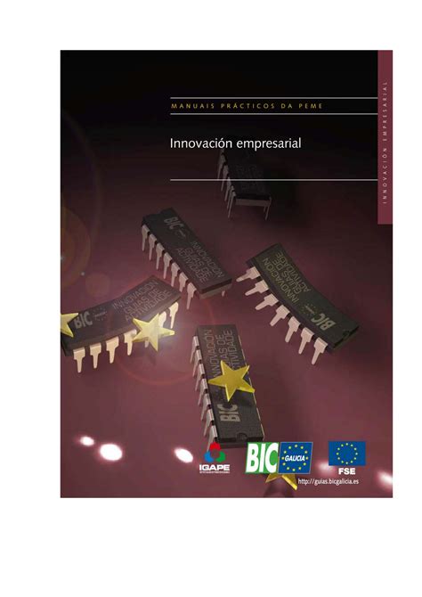 Innovaci N Empresarial Manuales Pr Cti Cos De La Pyme Ejem Plos Y