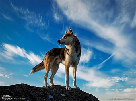 National Geographic Wallpapers Hd Wallpaper Cave