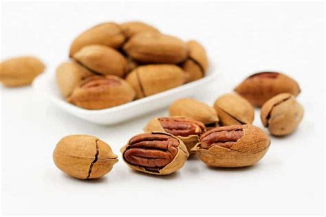 Pecan Trail Florence SC How To Make The Most Of Your Visit