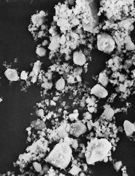 Resin Based Composites Pocket Dentistry