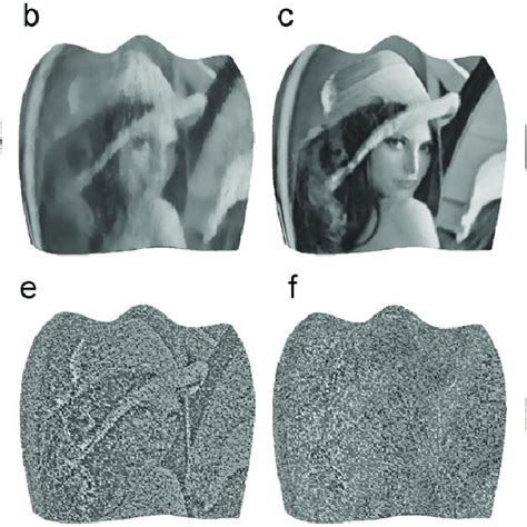 Pdf Variational Structuretexture Image Decomposition On Manifolds