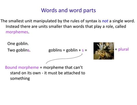 Description Of Morphology Types Development And Examples Ppt
