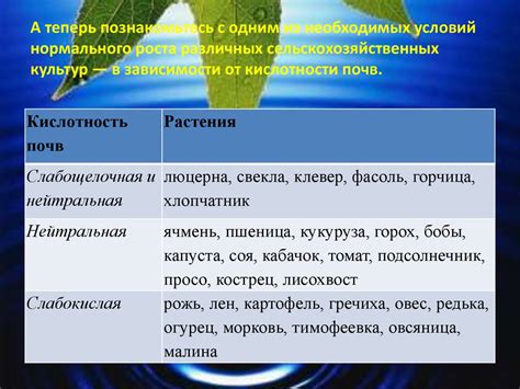 Среда обитания человека и экологическая безопасность Агроэкосистемы