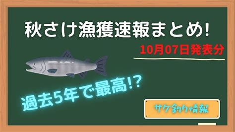 2022鮭釣り過去5年で最多の水揚げ 秋さけ漁獲速報更新 北海道発信の釣り情報ブログふぃっしんぐっど