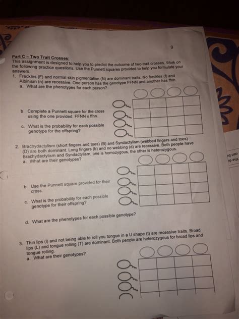 Solved Part C Two Trait Crosses This Assignment Is Designed
