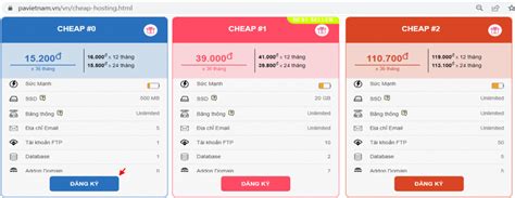 Tổng Quan Về Hosting Thầy Long Web