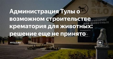 Администрация Тулы о возможном строительстве крематория для животных решение еще не принято