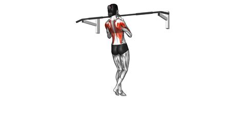 Narrow Parallel Grip Chin Ups Video Guide And Tips For Effective Exercise