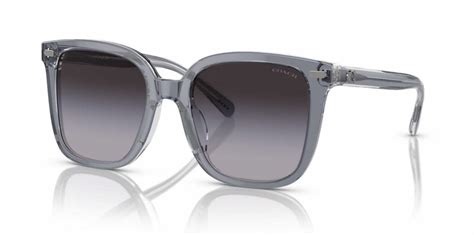 Coach Hc8381u Sunglasses