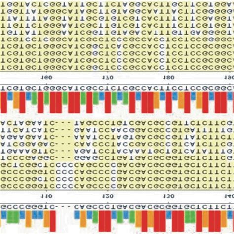 Multiple Sequence Alignment Cdna In A Part Of Sos1 Gene Sequence In The