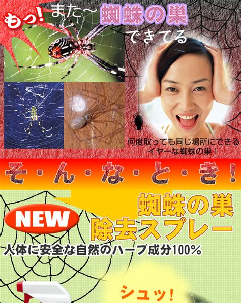 効果は最大6ヶ月、ハーブ成分で出来た「new 蜘蛛の巣除去スプレー」