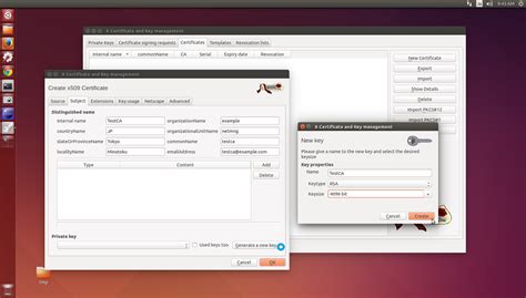Ipsecikev2 Manage Certificates By Xca Rockhopper Vpn
