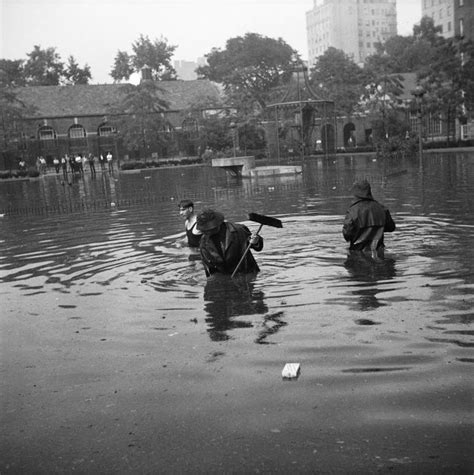 Blame It On The Rain Wild View