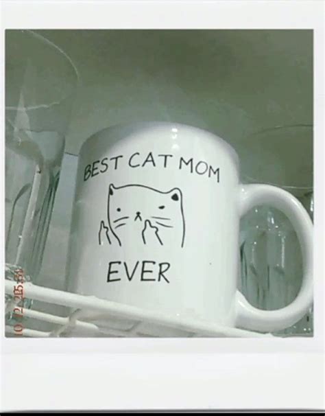 Best Cat Mom Ever Cat Mom Cool Cats Best
