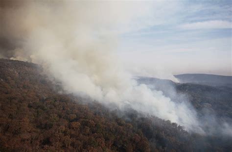 Afectadas 10 Zonas Por Incendio En Bosque La Primavera