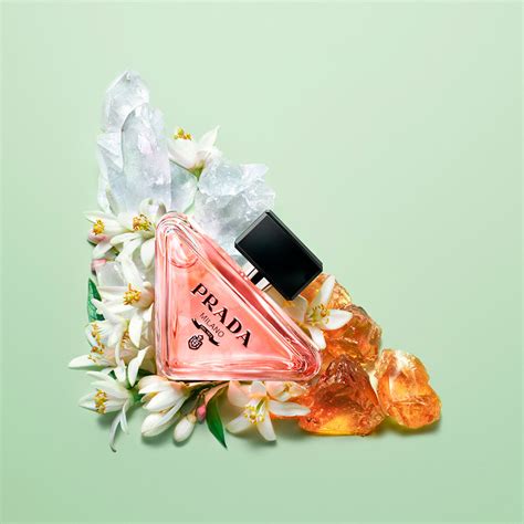 Paradoxe Perfume Edp Price Online Prada Perfumes Club