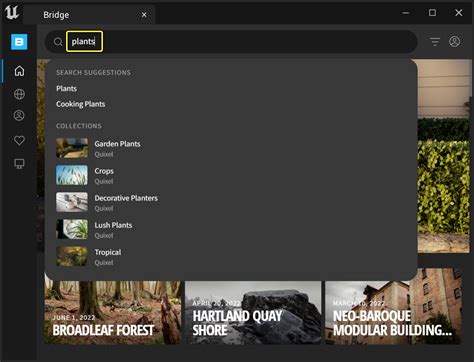 Quixel Bridge Plugin For Unreal Engine Unreal Engine 54 Documentation Epic Developer Community