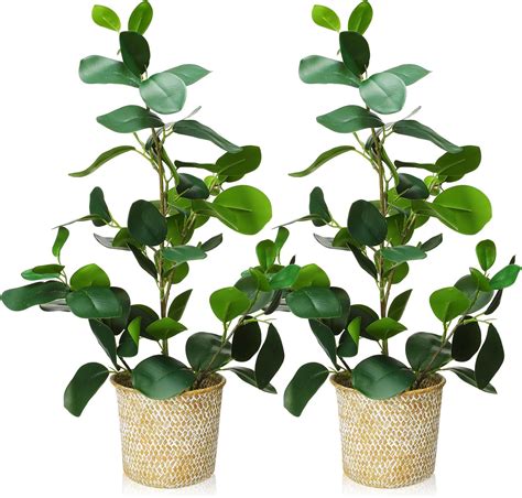 Solsew Set Of 2 Artificial Ficus Tree Fake Plants In Weaved