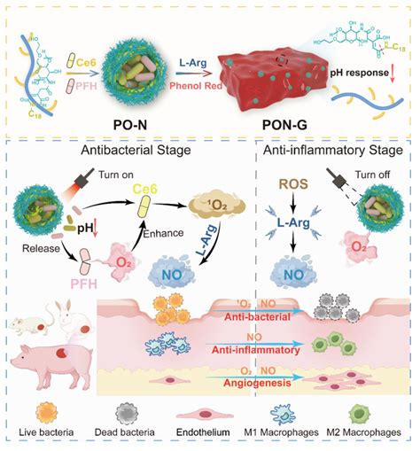 首页新闻 四川农业大学新闻网