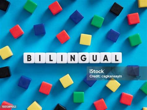 이중 언어 교육 개념입니다 파란색 배경에 이중 언어라는 단어가 있는 다채로운 큐브 이중언어에 대한 스톡 사진 및 기타 이미지 이중언어 교실 0명 Istock