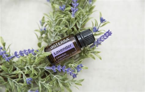 Learn How To Start Your Natural Journey With Doterra Essential Oils