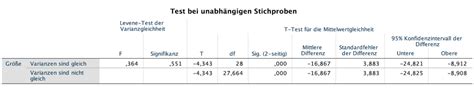 Den T Test Verstehen Und Interpretieren Mit Beispiel