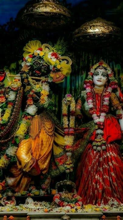 Naina Jo Mile Hai ️🌺 Radha Krishna Status Video Krishna Premi
