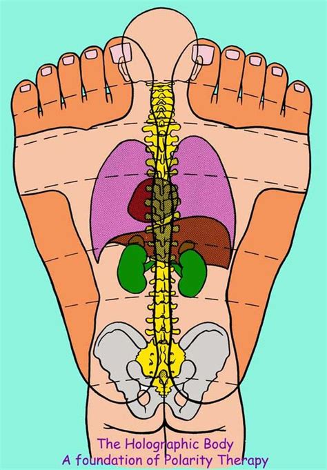 The Benefits Of A Foot Reflexology Massage Uzuri Hand Foot 49 Off