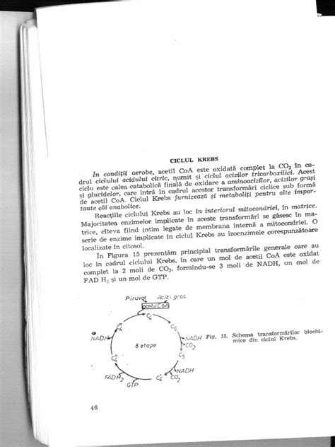 Ciclul Krebs Pdf