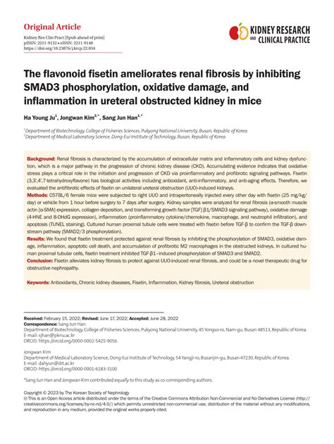 Pdf The Flavonoid Fisetin Ameliorates Renal Fibrosis By Inhibiting