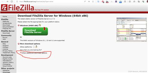 filezilla服务端下载 csdn博客