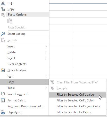 Filter By Cell Value Keyboard Shortcut A Accounting