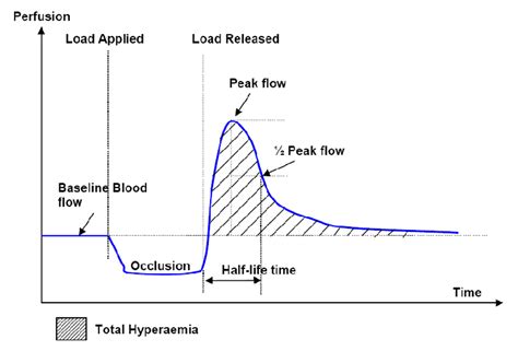 Figure 2 Schematic Representation Of A Reactive Hyperaemic Response 2010