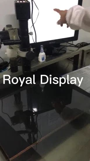 Graphic LCD 8 Bit Parallel 192X64 DOT Matrix Display COB Positive And Transflective LCD Module