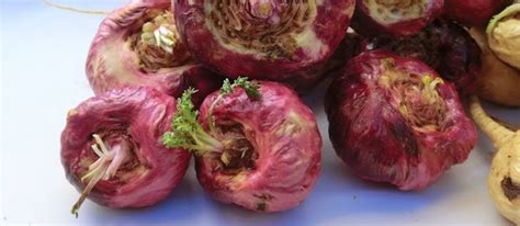 Maca Qué es propiedades y sus beneficios