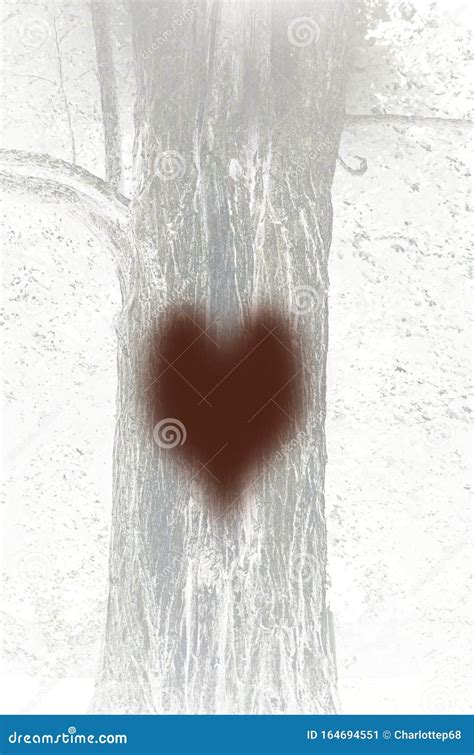 Heart Design On A Big Tree Ready To Be Engraved With Lovers Initials Stock Image Image Of