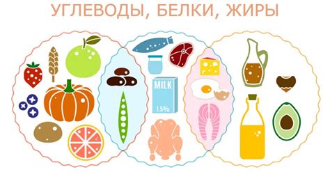 «Мой Хлеб» – Нутриенты, Витамины и Минералы