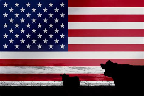 New Rule Reveals Why Congress And President Favor Importers And Ignore