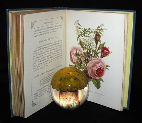 1880 Rare Floriography Book ~ The Language Of Flowers By Robert Tyas