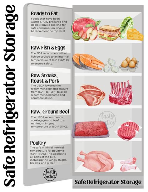 Printable Refrigerator Safety Guide Etsy